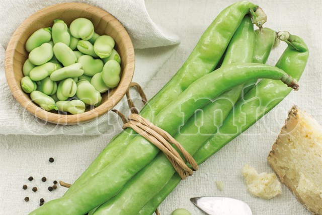 Piante da Orto: Calendario dei Trapianti Orto mio